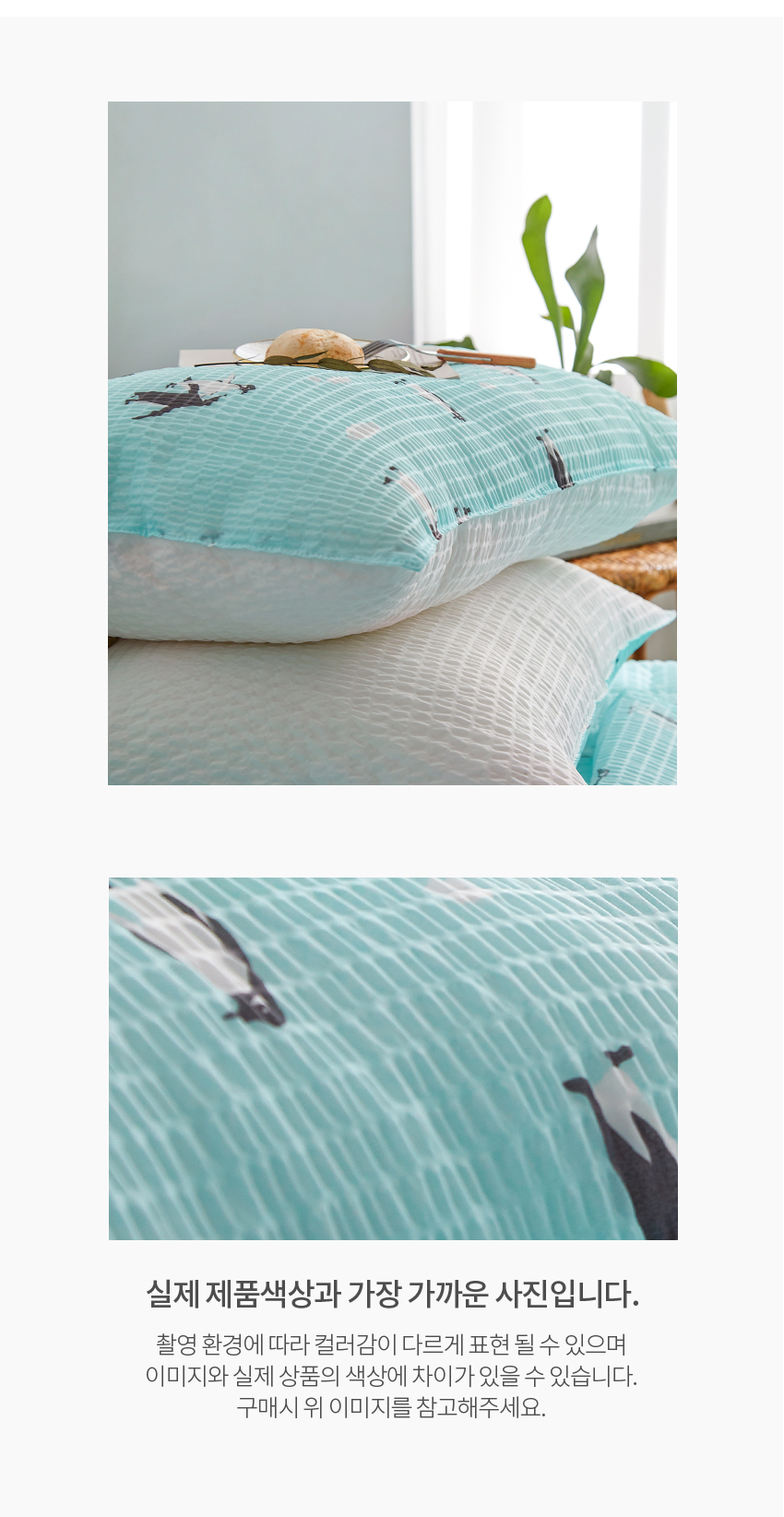 mint(pillow)_04.jpg